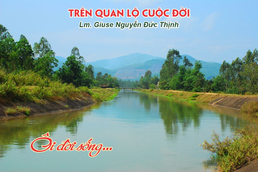 Ôi đời sống…